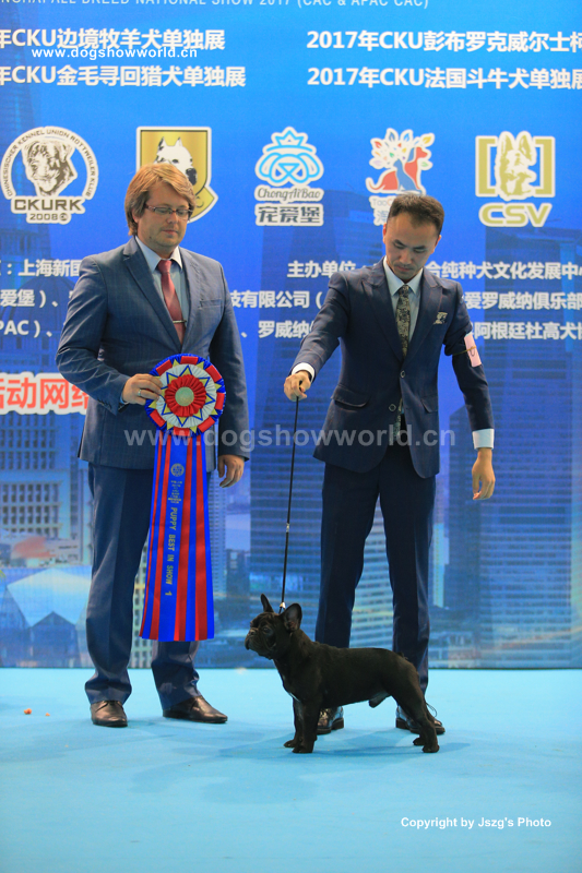 20171003 2017 FCI APAC 全犬种（中国）国际冠军展（CACIB）Puppy Best In Show 成绩快报 FCI ...