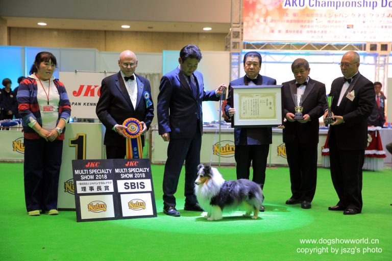 2018 JKC 多个单独展全场总冠军视频 2018 THE JKC MULTI SPECIALTY SHOW BEST IN SHOW ...