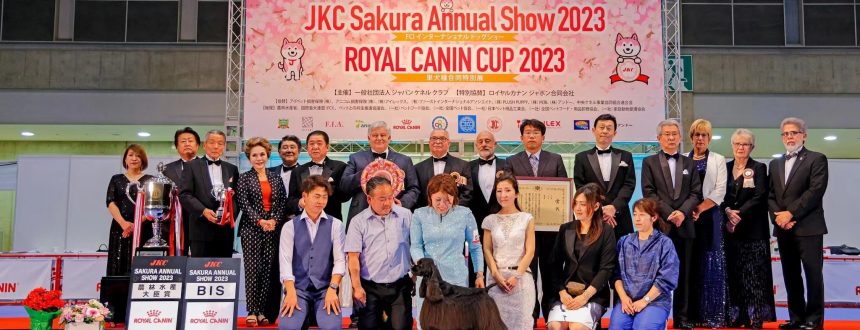 2023日本JKC本部展集锦 – 犬界网