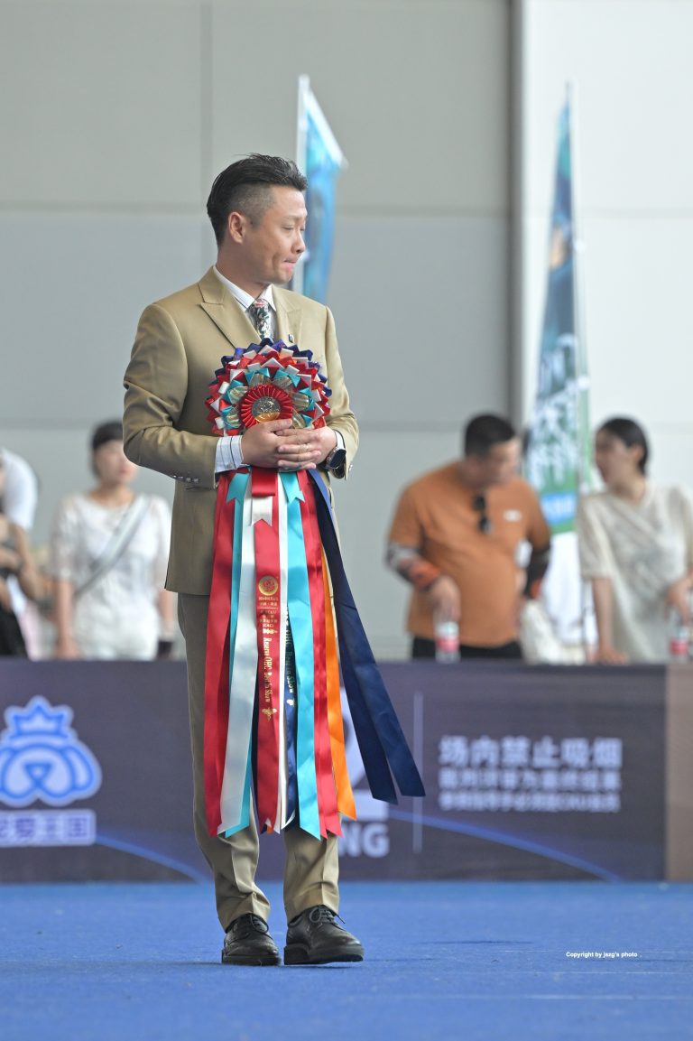 20240623 西安CKU赛事新闻 XIAN ALL-BREED CHAMPIONSHIP DOG SHOW – 犬界网