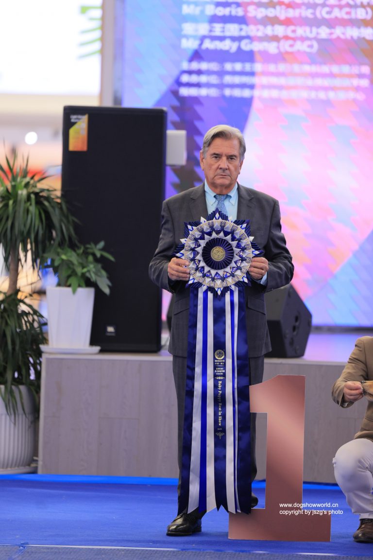 20240921 西安CKU赛事新闻 XIAN ALL-BREED CHAMPIONSHIP DOG SHOW – 犬界网