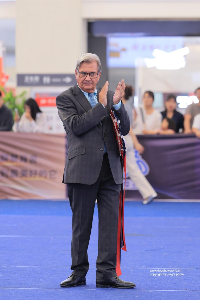 20240921 西安CKU赛事新闻 XIAN ALL-BREED CHAMPIONSHIP DOG SHOW – 犬界网