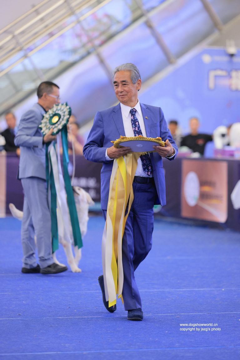 20240922 西安CKU赛事新闻 XIAN ALL-BREED CHAMPIONSHIP DOG SHOW - 犬界网