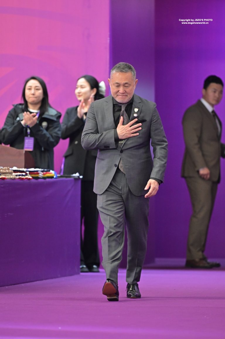 20250410-20250413青岛国秀 CKU赛事新闻 QINGDAO GUO SHOW ALL-BREED CHAMPIONSHIP DOG SHOW – 犬界网